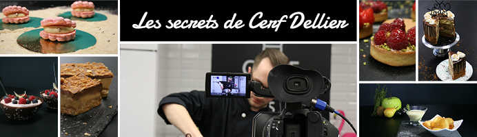 - Cerf Dellier le Blog